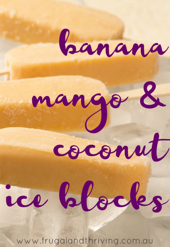 Banana, Mango and Coconut Ice Blocks