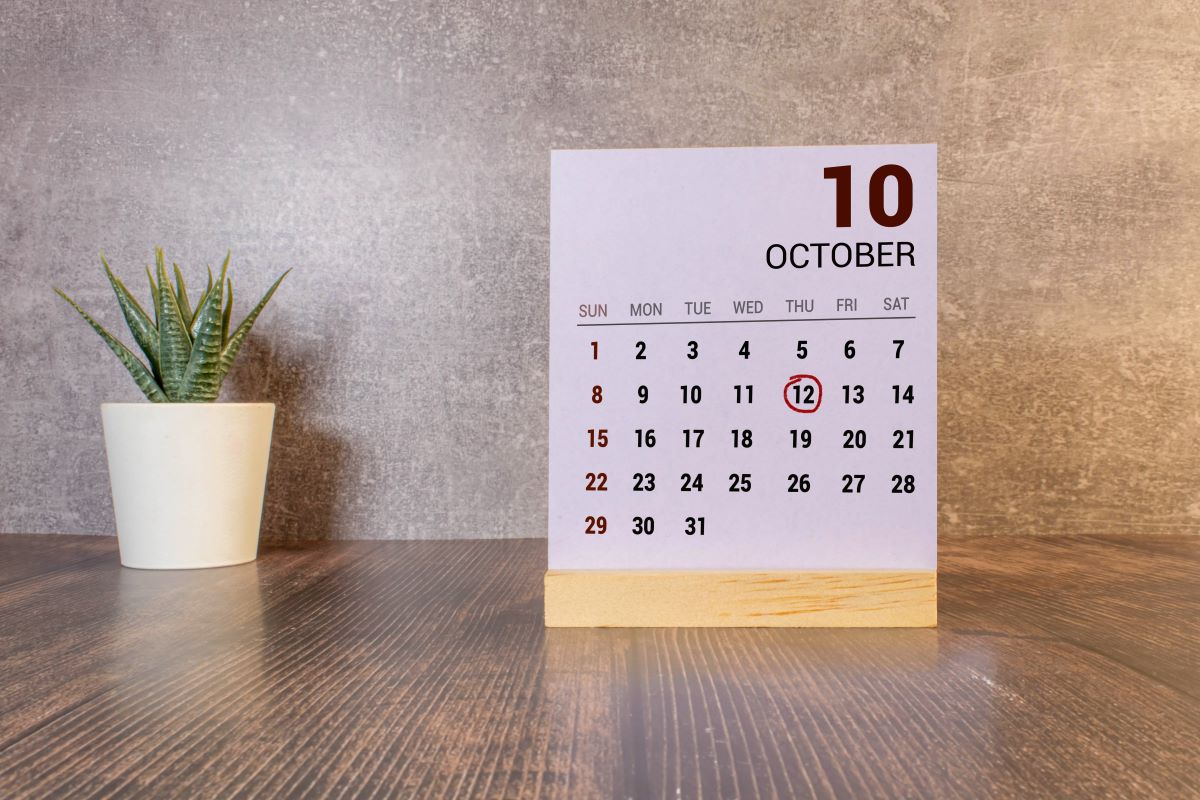 Charting Your Budget in Excel - Visualise Your Progress with Graphs