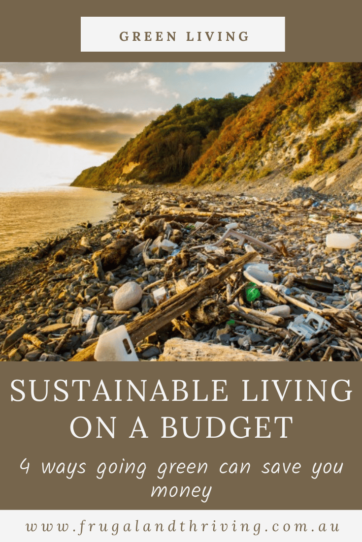 Green Living on a Budget Case Study - 4 Ways to Save Money