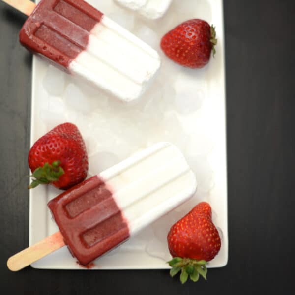 50 + Homemade Ice Block Recipes Perfect for Summer